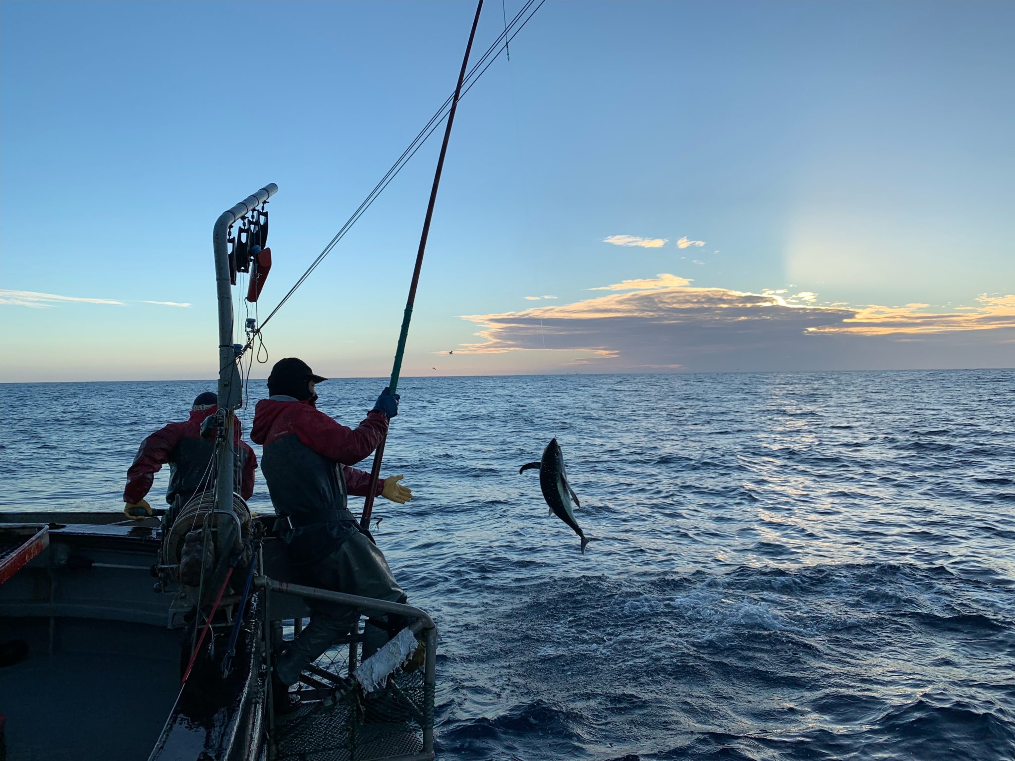 2022 Albacore Season, FV Erin Nicole – American Albacore Fishing ...